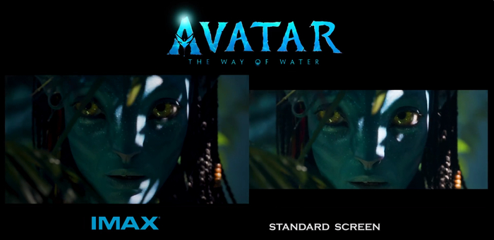 IMAX、杜比、CINITY、巨幕...到底有啥区别？🧐