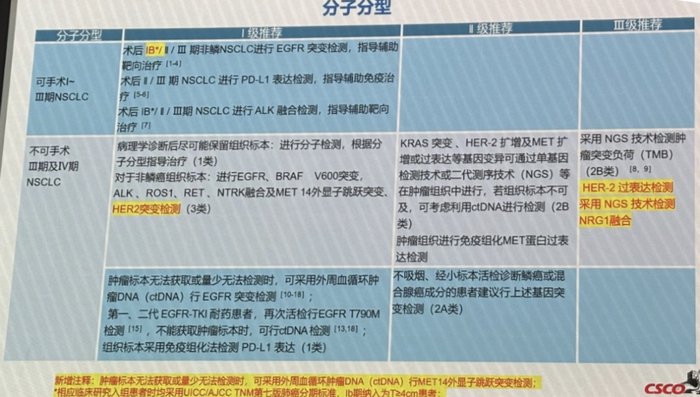 《2025 CSCO 非小细胞肺癌诊疗指南》更新要点全归纳！