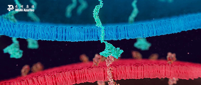 Science | CAR-T疗法里程碑！成功在体内构建CAR-T细胞