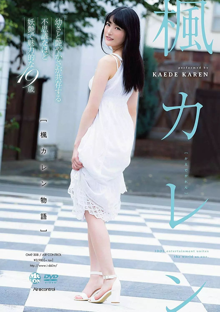 赏色 | 枫花恋 老师