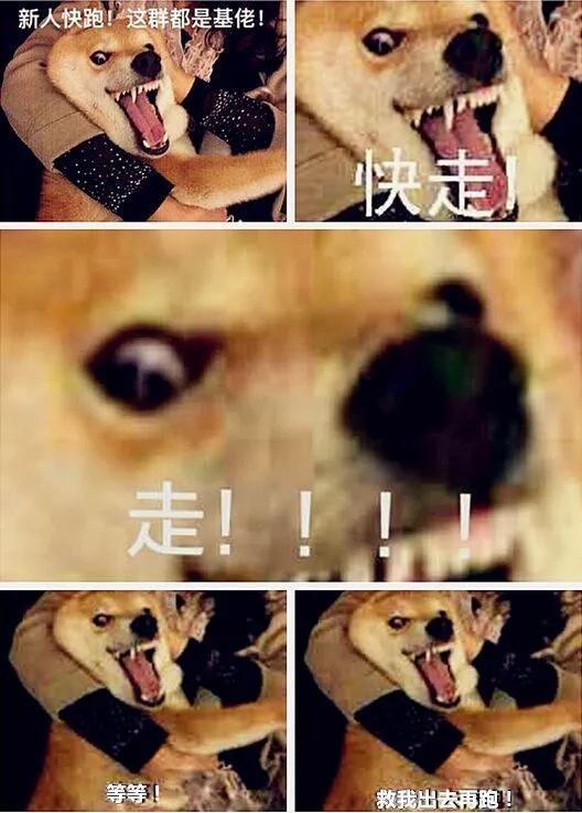 奇怪的知识增加了?奇怪的姿势也增加了