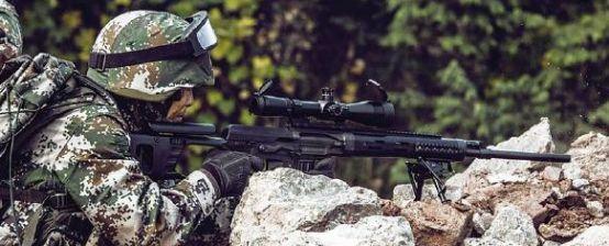 警展上多款国产高精狙亮相！别以为换个颜色我就不认识你｜轻武专栏