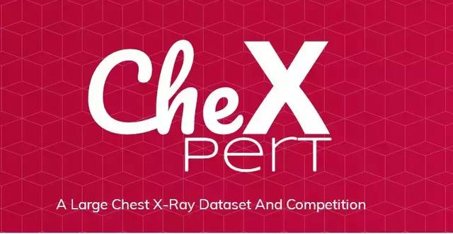 斯坦福联合MIT,发布两类巨大量级X光胸片数据集!__财经头条