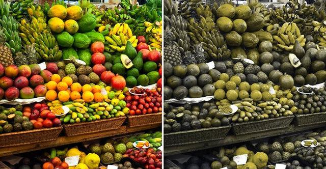 科学家发现女生眼睛多一个视锥细胞，可以看见比我们多1亿种颜色