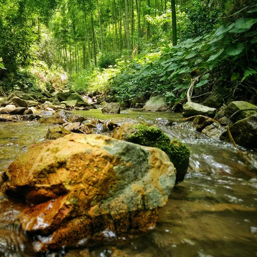 浙江最值得去的7条山野古道，沿途风景美爆了！找个好天气出发～