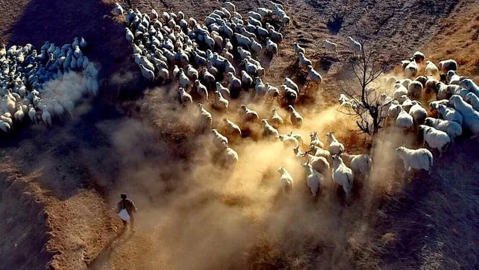 大美朔州:塞上绿洲航拍习作32幅|焦距|快门|光圈_新浪新闻