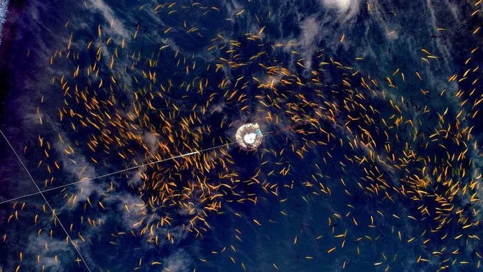 大美朔州:塞上绿洲航拍习作32幅|焦距|快门|光圈_新浪新闻