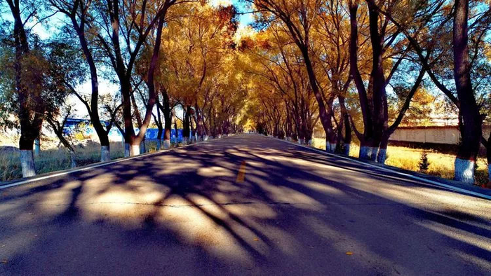 大美朔州:塞上绿洲航拍习作32幅|焦距|快门|光圈_新浪新闻