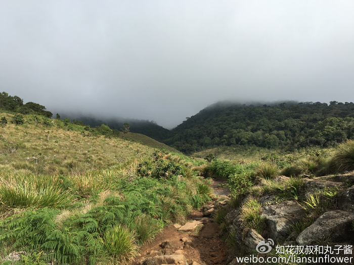 斯里兰卡 开着小火车去往世界尽头_手机新浪网