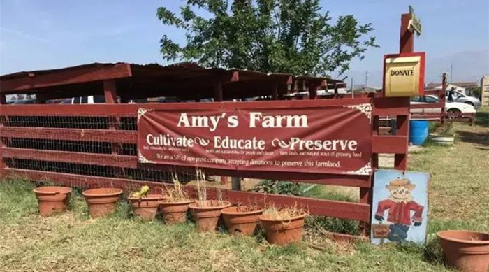 案例分享：国内外知名共享农庄的成功之道！