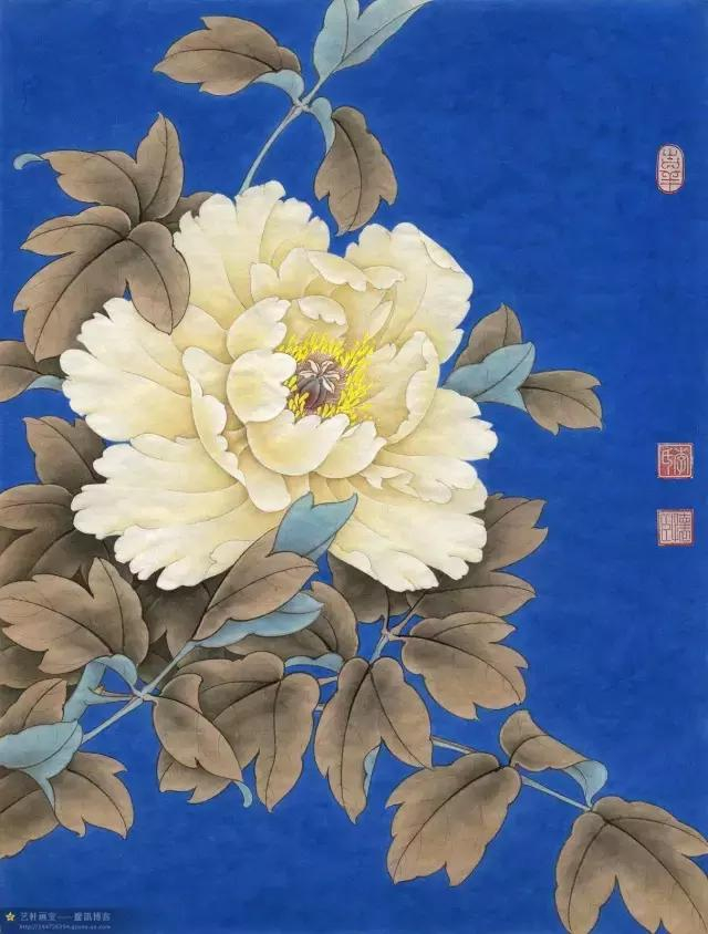 超高清工笔牡丹花，值得一看！|工笔画|工笔|画法_新浪新闻