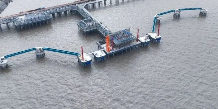 温州LNG项目4个单位工程顺利完成交工质量鉴定_手机新浪网