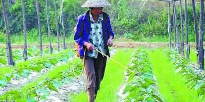 注意！海南今年起禁用62种农药和限用4种农药_手机新浪网