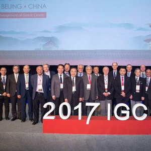 弥合差距，共克胃癌——第12届国际胃癌大会（IGCC）在京召开_手机新浪网