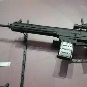 中国新一代步枪即将亮相 不再采用无托结构淘汰95式_手机新浪网