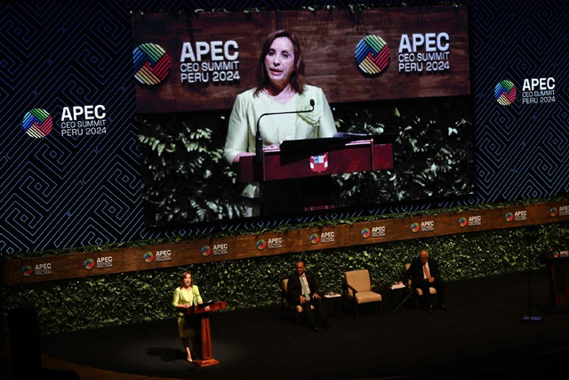 2024秘鲁APEC峰会举行开幕式_新浪图片