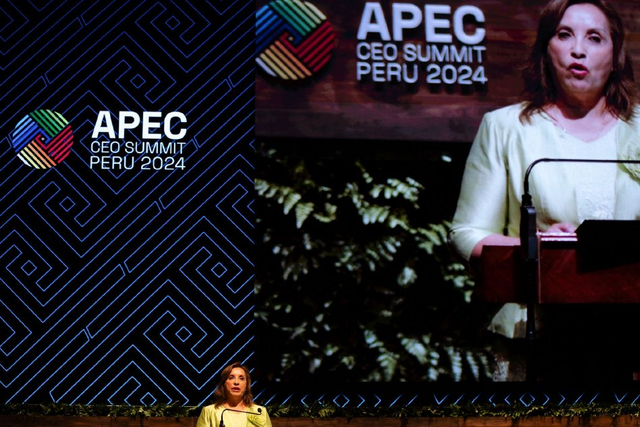 2024秘鲁APEC峰会举行开幕式_新浪图片