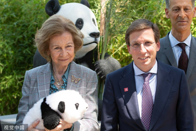 大熊猫“金喜”“茱萸”正式与西班牙公众见面_新浪图片