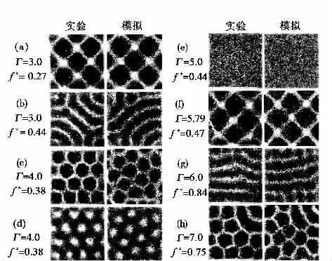 深度解析｜颗粒物质