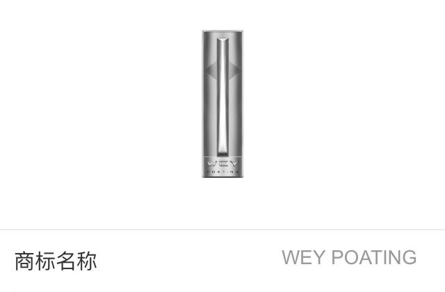 头条·独家|魏建军挖角奥迪，WEY品牌首任CEO浮出水面