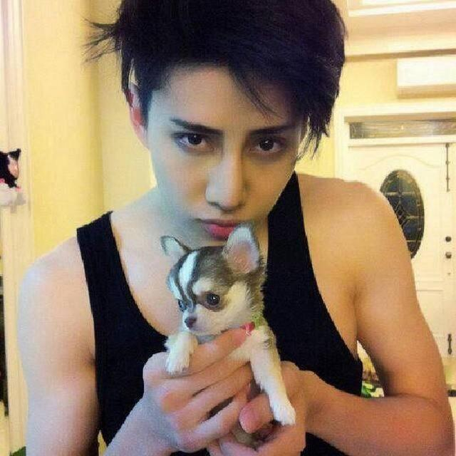 mike为何在我们中国娱乐圈发展的如此好？