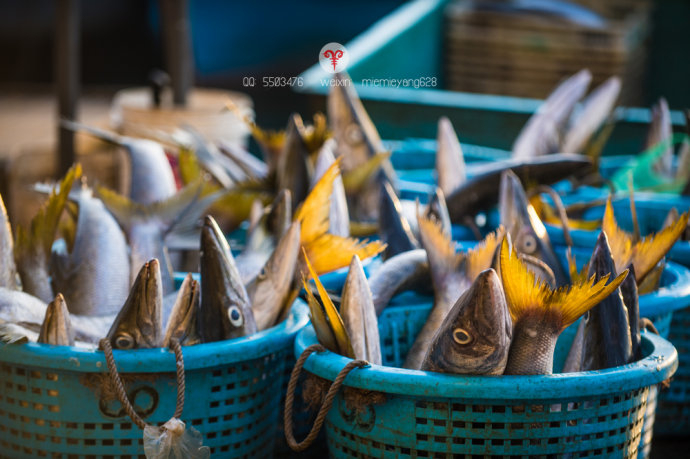 【沙巴】走进活色生香的中央巴刹窥见繁华市井中的人间百态