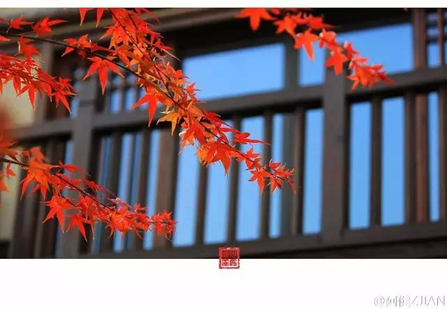 无锡7大最美赏枫地推荐，一起去看火红的秋天