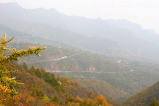 一幅金秋的天然画卷，自驾G108国道