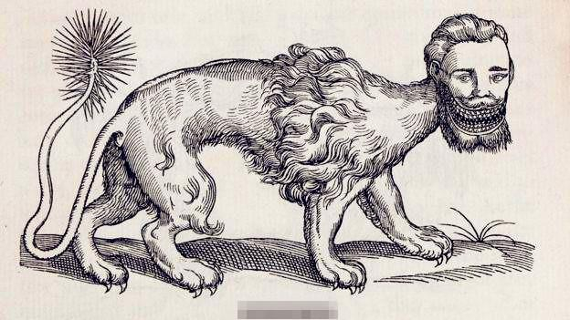 一旦人类拥有尾巴 这些令人啼笑皆非的事情就发生了...