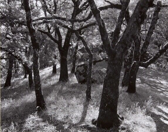 安塞尔·亚当斯(Ansel Adams)黑白风光