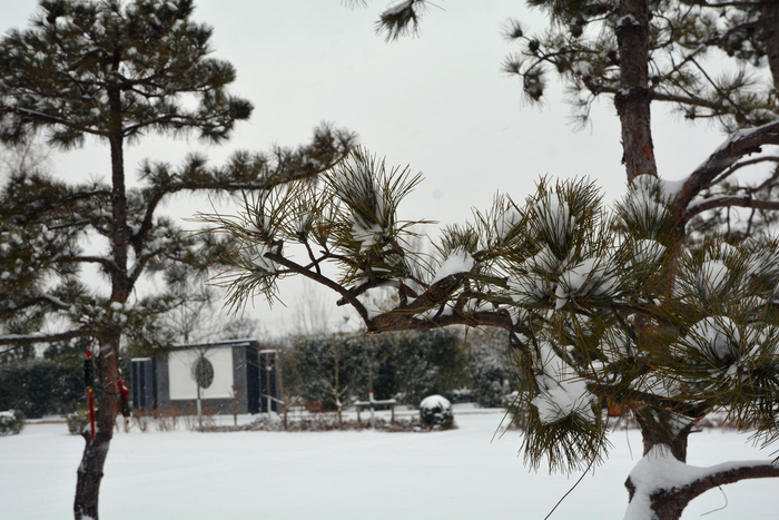 郑州十年一遇的大雪，你还不满意？这里的雪景值得一看