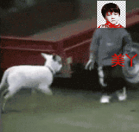 设计神器GIFntext——轻松添加GIF文字特效