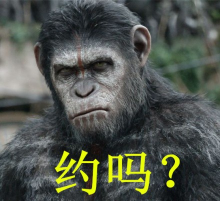 猩球崛起逗趣表情包