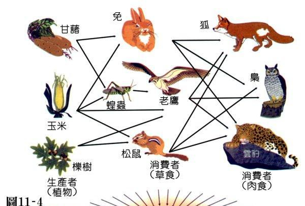 「无为子说风水」五行生克总整理