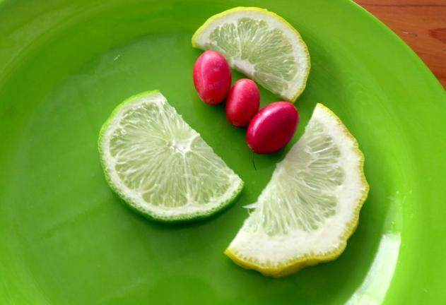 一种可以把任何味道都变甜的神奇果子，被誉为“果园中的魔术师”