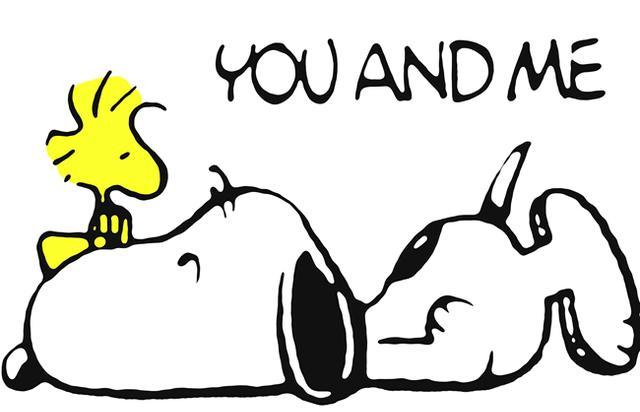 史努比到底是什么狗？让萌犬君告诉你这个世界之谜的答案吧！|史努比|比格犬|答案_新浪新闻