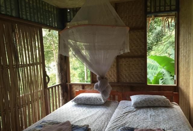 隐藏在泰国清佬山区的廉价树屋酒店