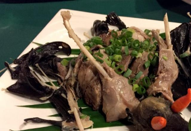 太平洋岛国帕劳的国民美食：蝙蝠汤，你真的敢尝么？