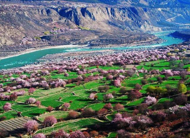 新疆最美杏花沟！全球最大原始野杏林，早春旅行摄影必去之地！