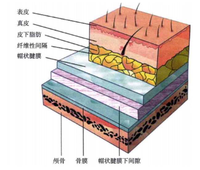 植发后必须经历脱落换茬期！你知道吗