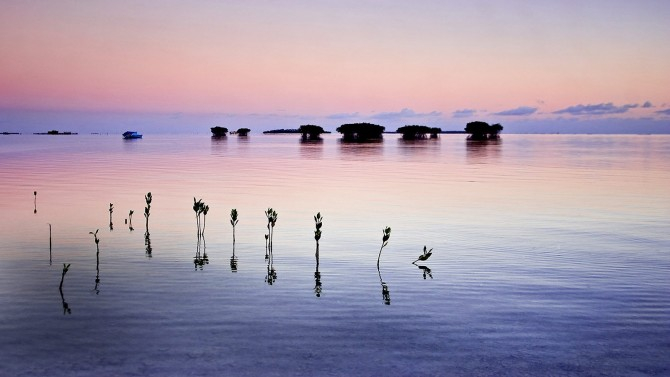 又一度假好去处：太平洋岛国汤加对华免签