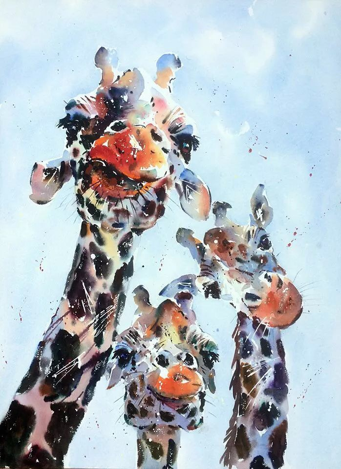 Jake Winkle，来自英国的艺术家，他的动物水彩画十分引人注目