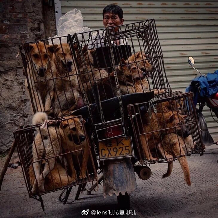 当了 Getty Images 摄影师 25 年的 Kevin Frayer 于两年前搬到中国_新浪新闻