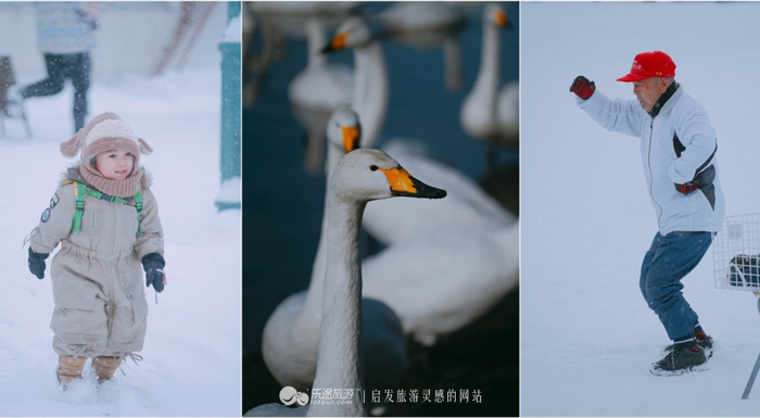 北海道道东转一圈，宛如在神仙的世界里