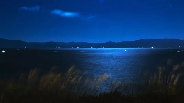 王笑雷朗诵《夏夜，藏着落叶的秘密》外一首