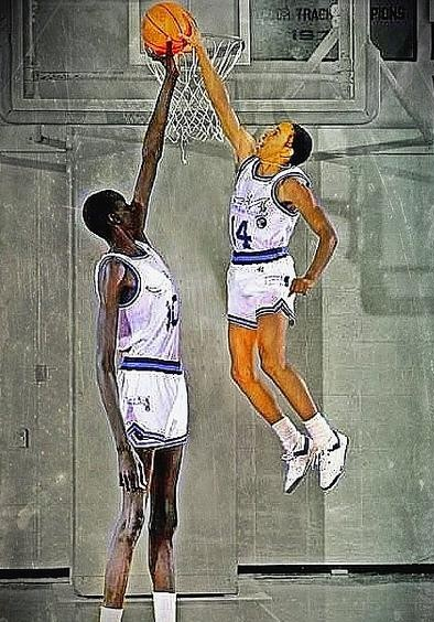 小个子NBA球员有多强？两位曾盖帽姚明，有人巅峰期场均28.9分