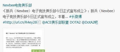 《DOTA2》战队巡礼之Newbee，那是真的Newbee！|战队|国际邀请赛|冠军|双子星|阵容_新浪新闻