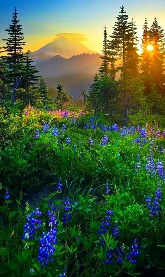 特别漂亮的手机风景壁纸，超级好看！