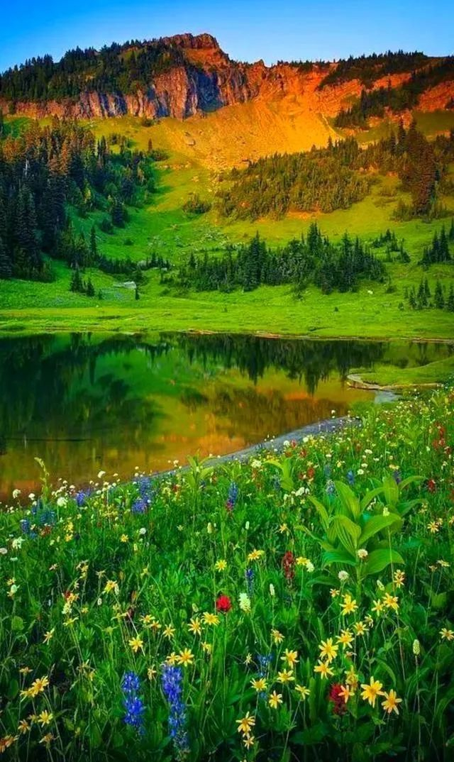 特别漂亮的手机风景壁纸，超级好看！