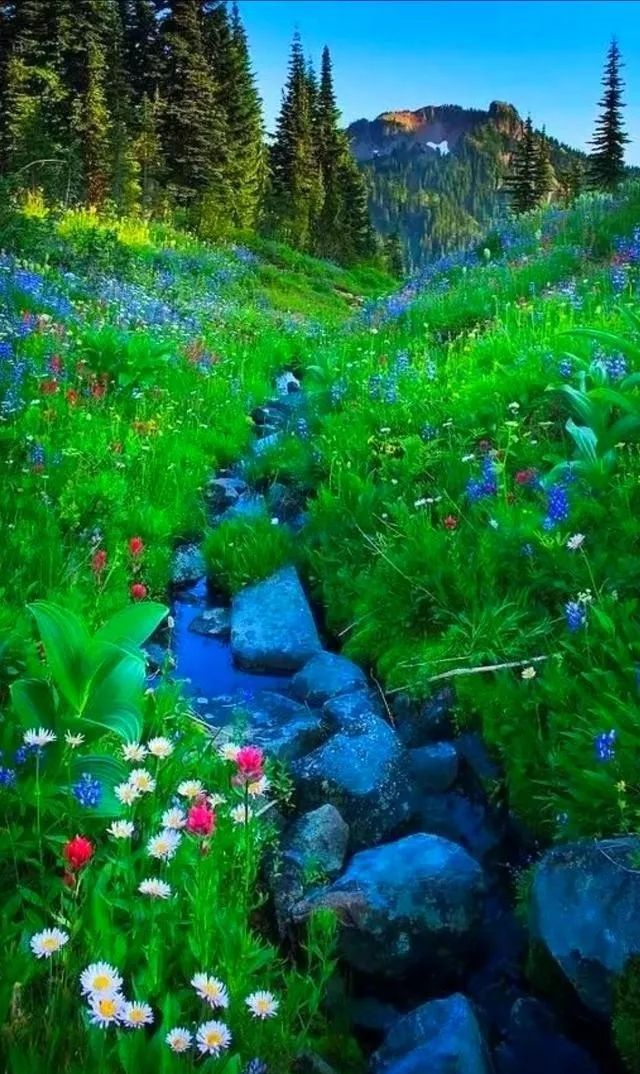 特别漂亮的手机风景壁纸，超级好看！